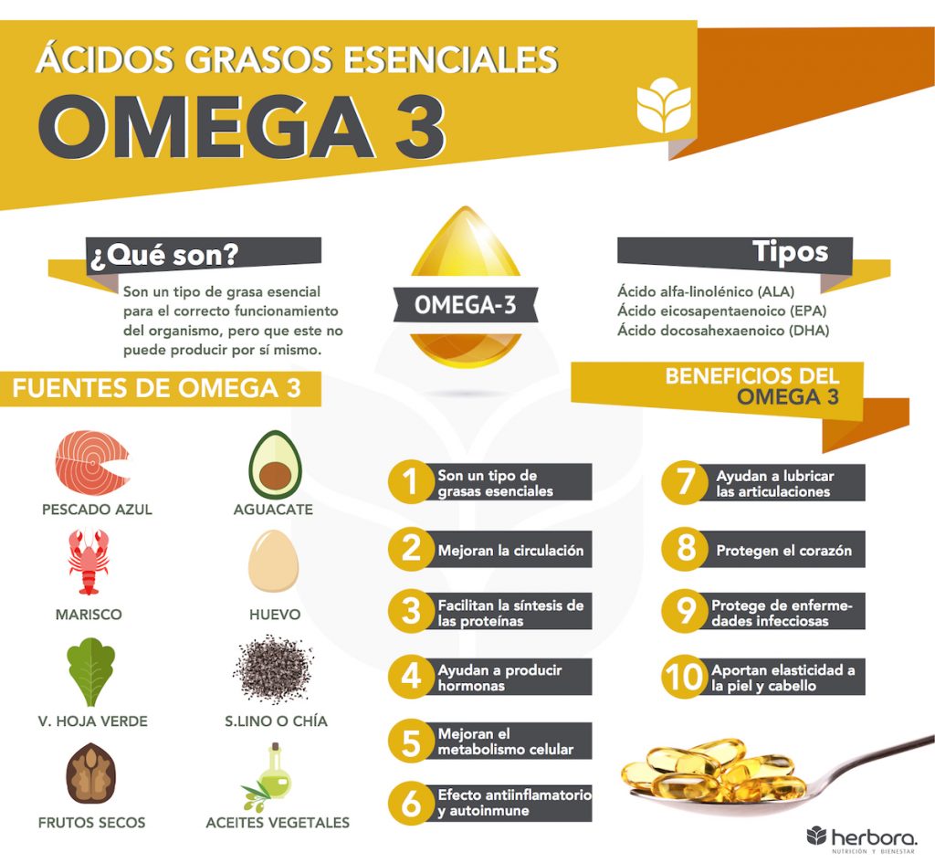 Ácidos grasos esenciales Omega 3, infografía - Blog de nutrición y ...